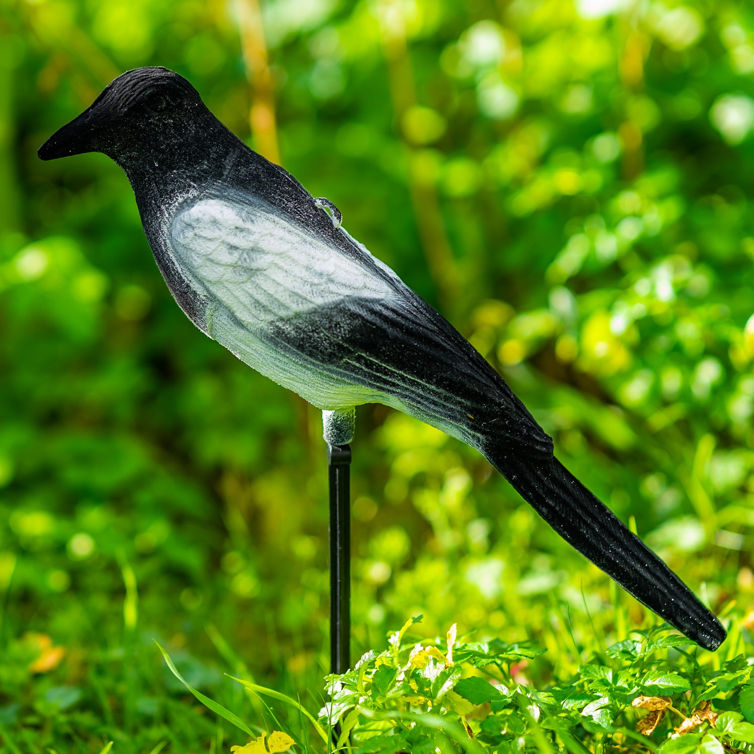 Nitehawk Full Body Flocked Shooting/Hunting Magpie Decoy With Stake ...